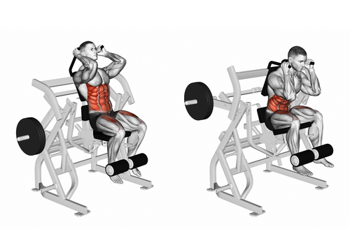 Abdominal Machine Crunch - 10 Tips to Optomize Exercise Effectiveness