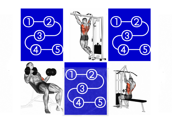 Optimal Exercise Order: Maximize Your Workout Results with the Right S