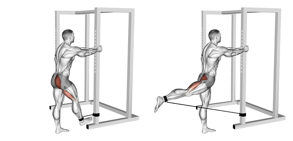 Mastering the Hip Extension: Techniques and Benefits