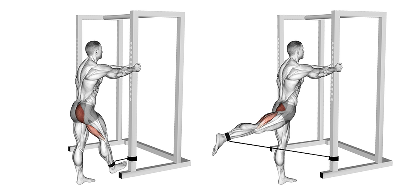 Hip Joint Extension: Muscles Worked, Proper Form, and Benefits