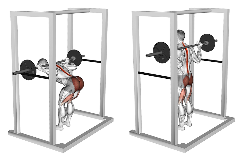 Good Morning Exercise: Technique, Benefits & Safety Tips