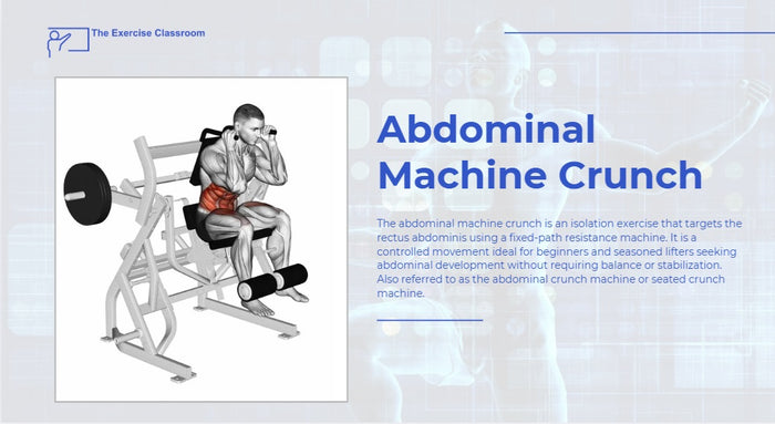 Abdominal Machine Crunch: Muscles Worked, Proper Form, and Benefits