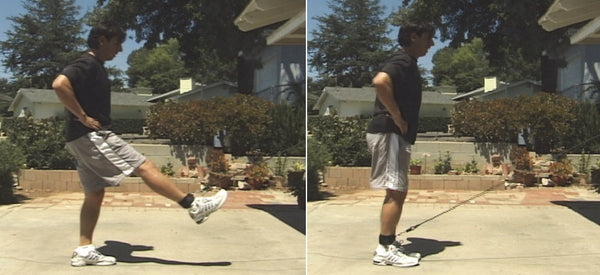 Free Lessons in the Kinesiology of Exercise by KinX Learning