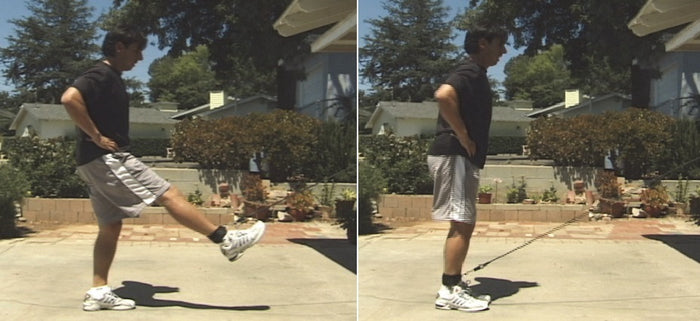 Free Lessons in the Kinesiology of Exercise by KinX Learning