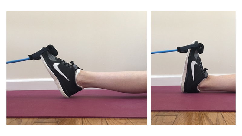 Free Lessons in the Kinesiology of Exercise by KinX Learning