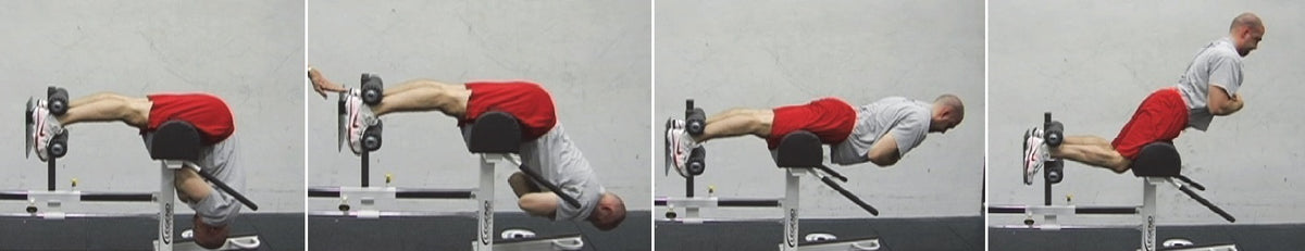 The Glute-Ham-Gastroc Raise - Anatomy, Sports Uses, Tips and more