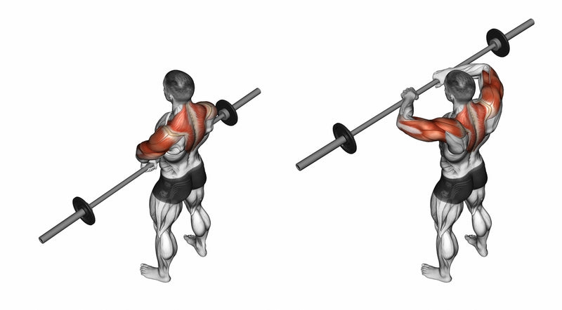 Upright Row: Muscles Worked, Proper Form, and Benefits