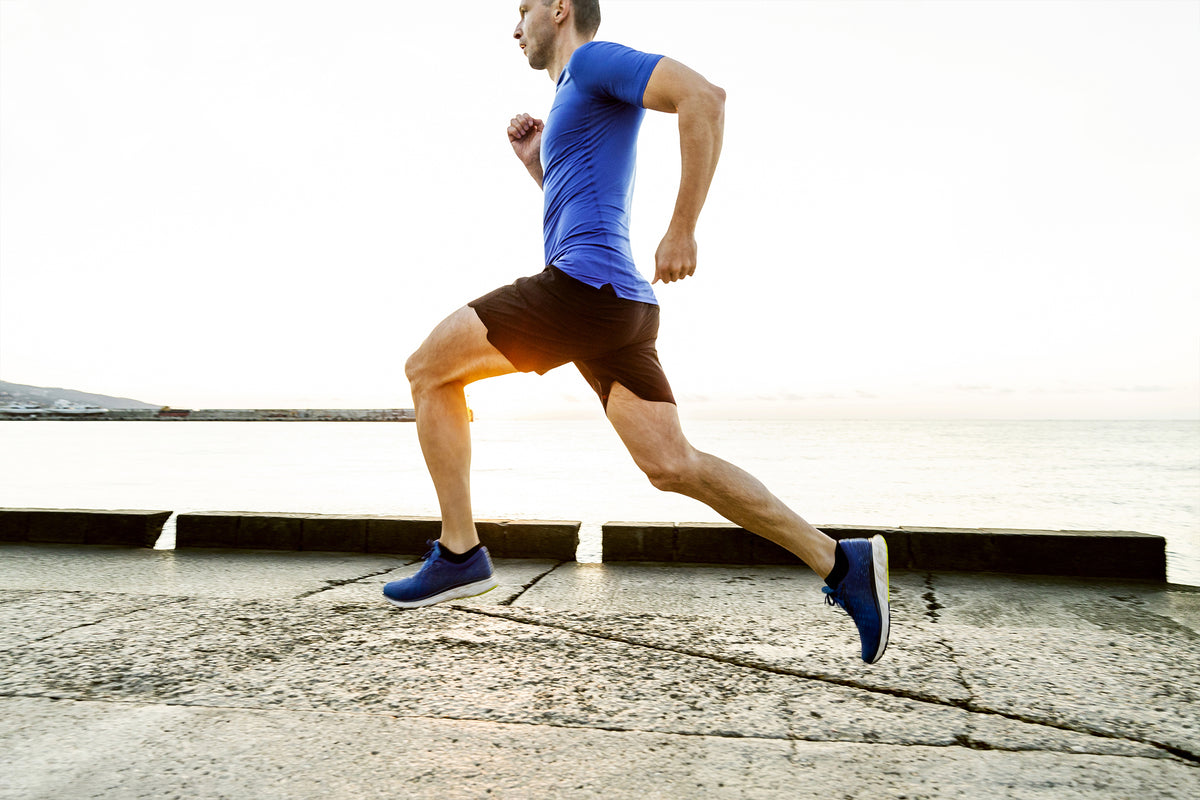 Master the Seated Calf Raise Exercise | Technique, Tips, and Benefits