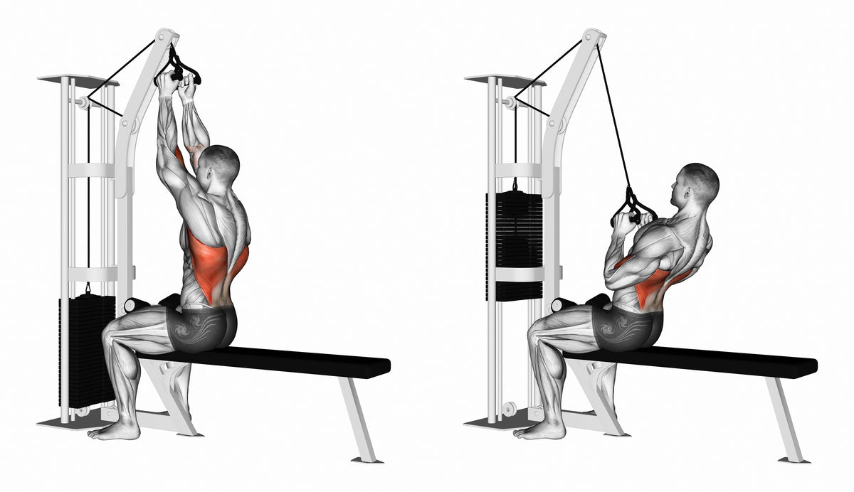 Kinesiology of the Lat Pulldown Exercise