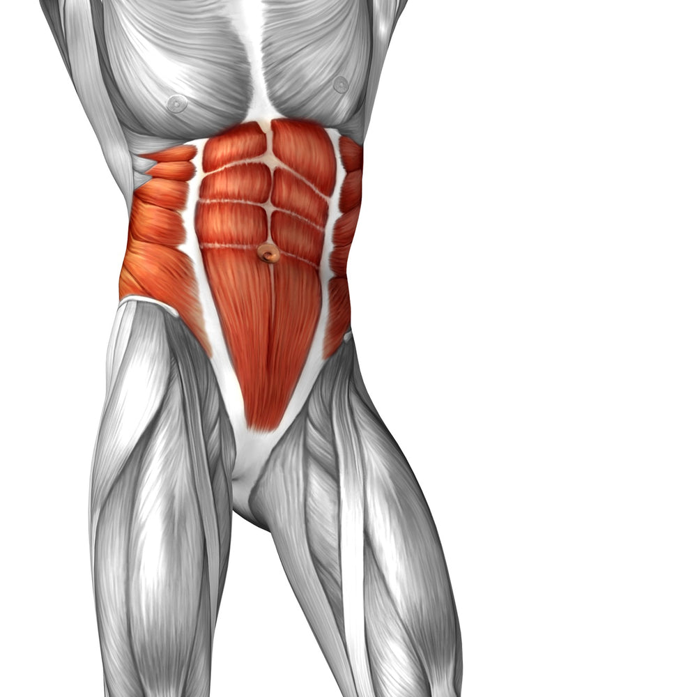Sit-Up (Curl-Up): Muscles Worked, Proper Form, and Benefits